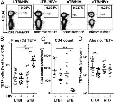 Identification Of M Tuberculosis Specific Mhc Class Ii Tetramer Tet Download Scientific