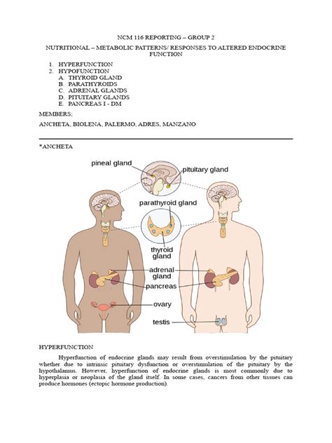 Nutritional Metabolic Patterns Responses To Altered Endocrine Function Pdf Hypothyroidism