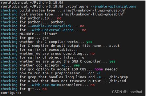 Linux Python Python Csdn