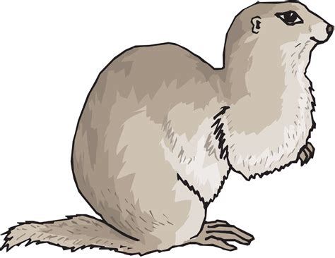 Mink 6 Clipart Cliparts Of Mink 6 Free Download Wmf Eps Emf Svg Png  Formats