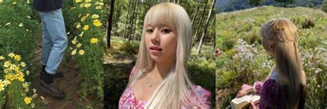 Pin On Twice Twitter Header Aesthetic Twitter Header Flower Header