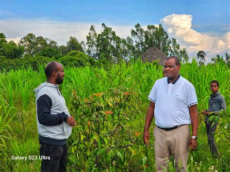 የህብረተ ሰቡን ተጠቃሚነት በዘላቂነት ለማረጋገጥ በግብርናው ዘርፍ እየተሰሩ ያሉ ስራዎች አበረታች ናቸው አቶ ኡስማን ስሩር ግንቦት 12 2015