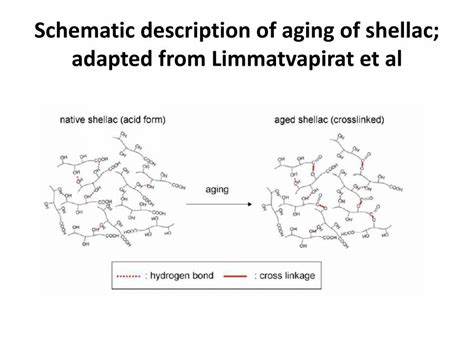 Shellac Powerpoint Slides Learnpick India