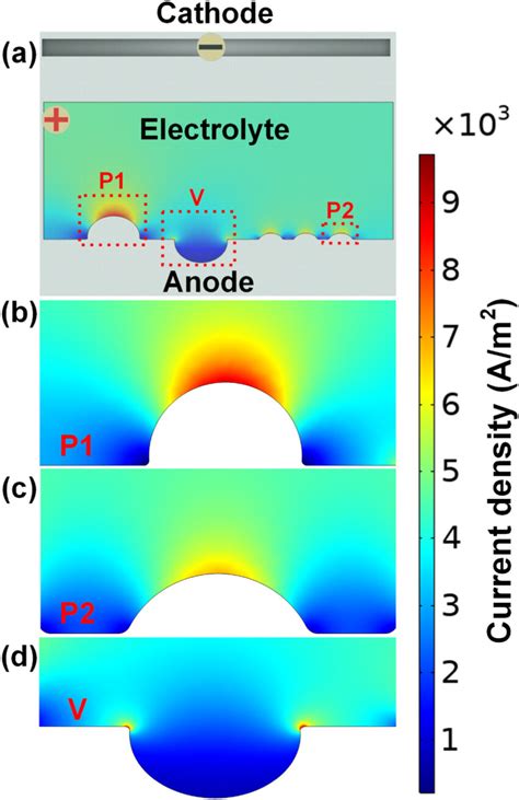 Current Density Distribution At Different Regions Of The Model Surface