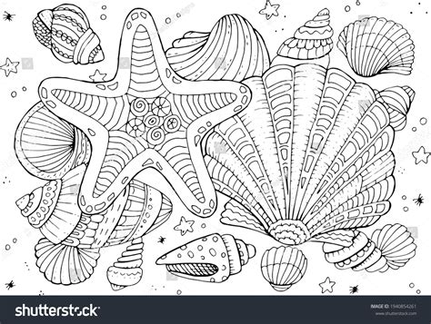 Seashells Coloring Pages