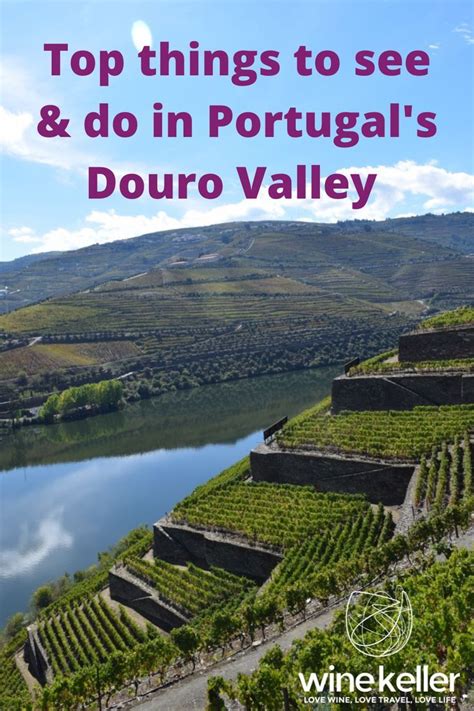 Portugals Douro Valley What To See And Do In The Douro Douro Valley Portugal Wine Tasting