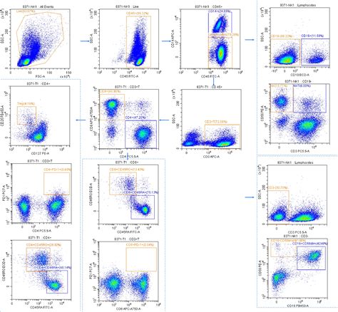 Pbmc，外周血单个核细胞 儒百生物科技