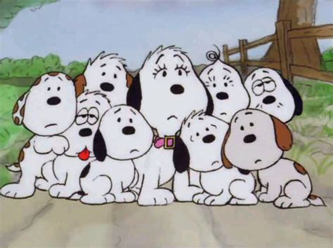 Snoopys Mom Cafemom