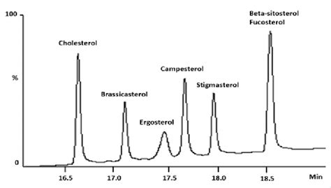 Gc Fid 2010 Model Shimadzu® In The Following Conditions Programmed Download Scientific