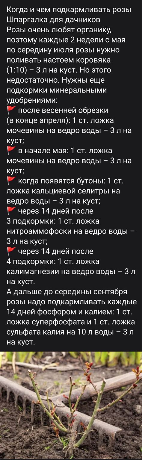 Оригинальные идеи для украшения сада
