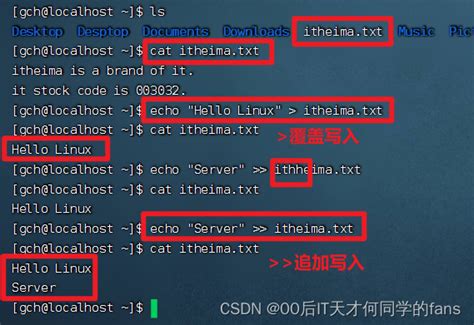 Linux学习笔记 Linux基础命令part2统计文件中带有itcast关键字的有几行 Csdn博客