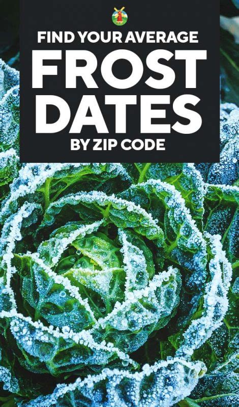 Find The Average First And Last Frost Dates In Your Area By Zip Code