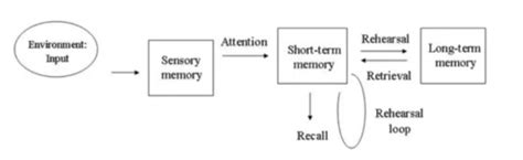Ch 10 Memory Flashcards Quizlet Ch 10 Memory Flashcards Quizlet