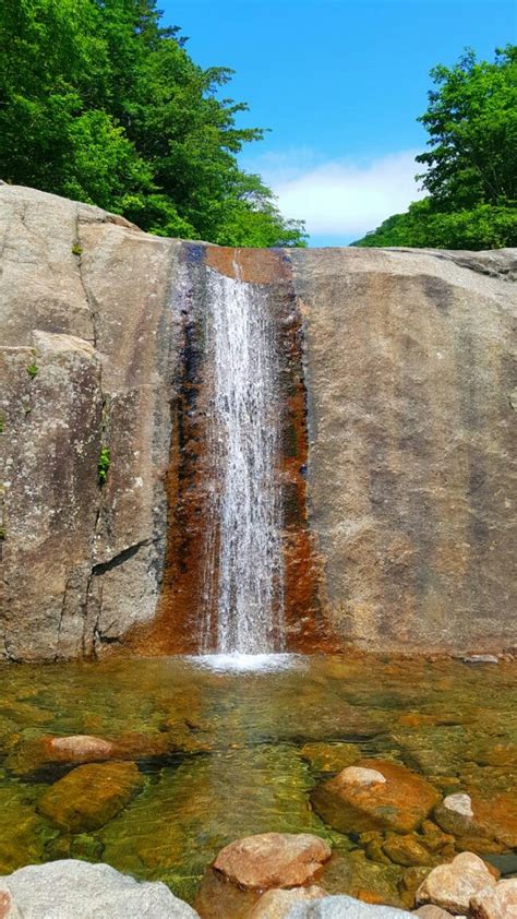 흐르는 물은 서로 앞서려고 다투지 않는다 네이버 블로그