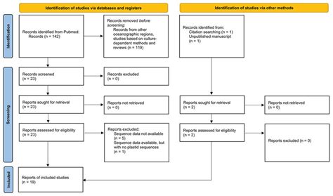 Hidden Microalgae Diversity In Reef Systems Reanalysis Of Coral