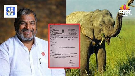 Madhuri Elephant माधुरी हत्तीणीवरून राजकारण पेटलं राजू शेट्टींचं जुनं पत्र व्हायरल पत्रात