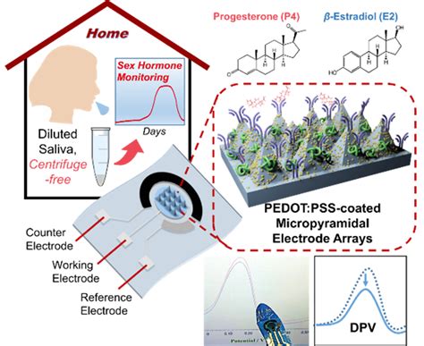 Sub Femtomolar Flexible Electrodes For At Home Sex Hormone Monitoring