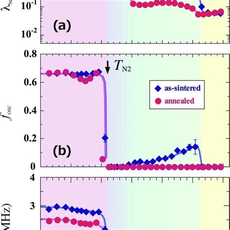 Temperature Dependencies Of A The Depolarization Rate Of The