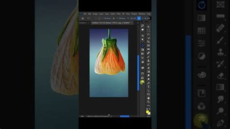 Magnifying Glass Effect In Photoshop Shorts Photoshop Photoshop