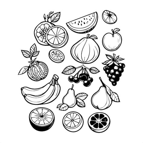 Premium Vector Fruits And Berries Set Black And White Hand Drawn Vector Illustration
