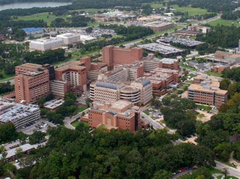 About Us Md Phd Training Program College Of Medicine University