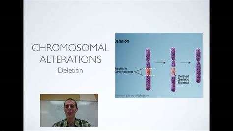 Chromosomal Mutations Youtube