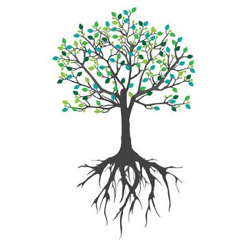 Tree Roots PNGs For Free Download 3241320