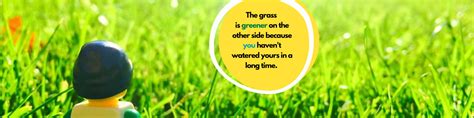 Why Is The Grass Always Greener On The Other Side
