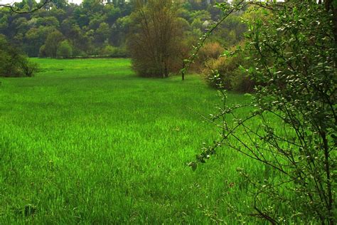 Visit La Cassa 2025 Travel Guide For La Cassa Turin Expedia