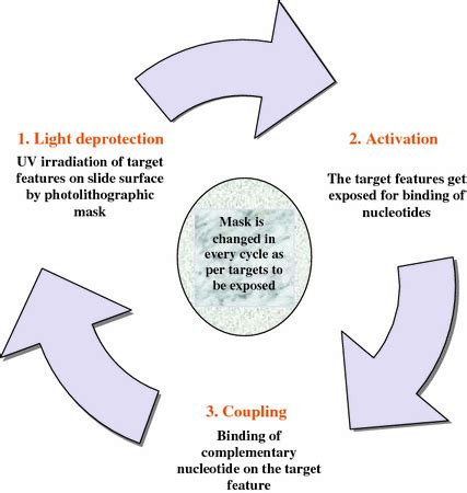 DNA Microarray Basicmedical Key