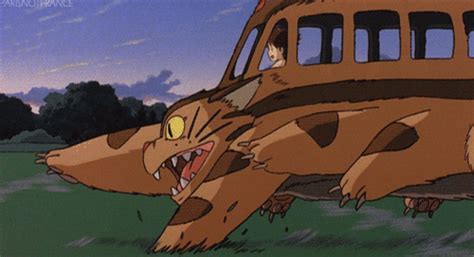 Catbus Album On Imgur