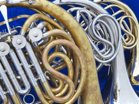 French Horns Musical Instrument City