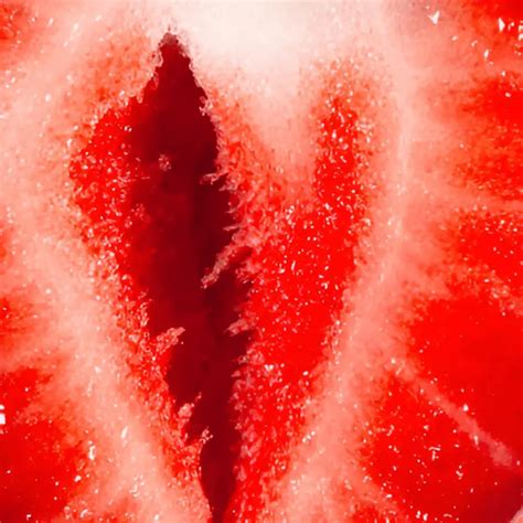 Revive Sensual Connections With Phasic Unfreeze Experience