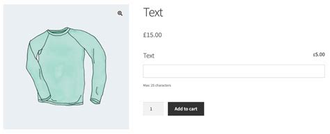 How To Add A Text Field To A Woocommerce Product Page