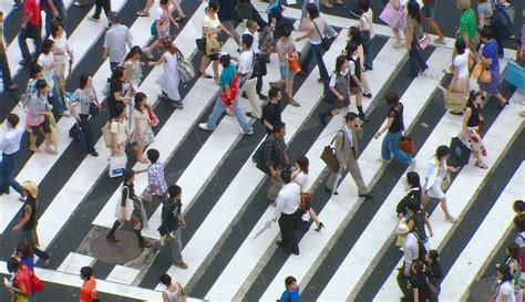 Dataset And Codes Region Based Weighted Prediction For Coding Video