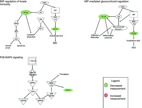 Simplified Pathway Analysis Of Genes With Statistically Significant