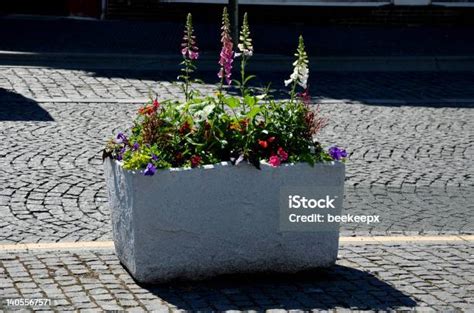 화강암 자갈 마을 광장에 포장화 꽃 침대의 가장자리에 연간 농장과 다년생 화단 입구에 대한 돌 기둥과 돌 쓰루와 화분 식물 0