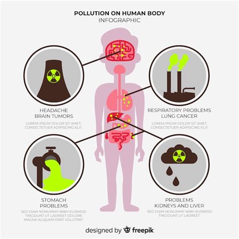 Free Vector Infographic Of Pollution Effects On Human Body