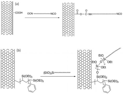 Scheme 5 Schematic Representation Of A The Crosslinking Of Download Scientific Diagram