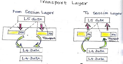 Networking DCCN Transport Layer
