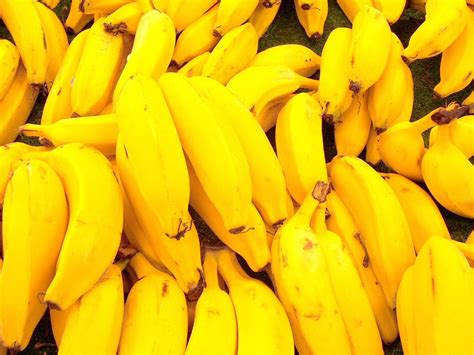 무료 바나나 스톡 사진 Freeimages