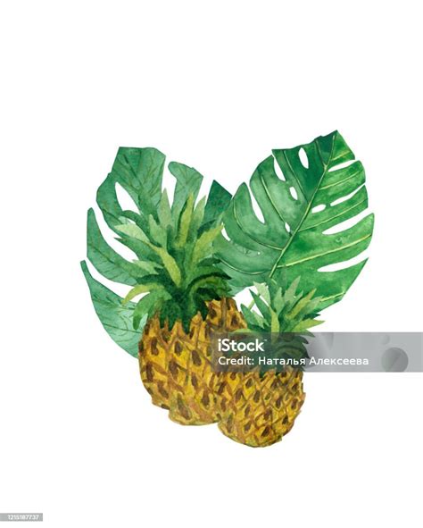 수채화 손 은 노란색 파인애플 두 과일과 녹색 정글 야자수 꽃다발 텍스트 에 대한 공간과 인사말 카드에 대한 꽃다발을 가진 자연 열대 신선한 구성을 그린 건강한 생활방식에