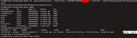 Centos中使用docker来部署postgresql 霸道流氓 博客园