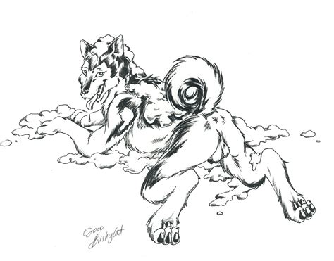 Rule 34 2000 Anthro Anus Backsack Bushycat Butthole Canine Furry