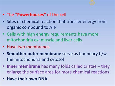 Cell Introduction Pptx
