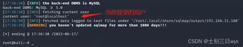 SQLmap使用教程图文教程非常详细从零基础入门到精通看完这一篇就够了 CSDN博客
