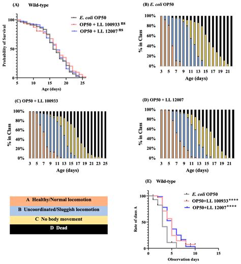 Improvement Of Locomotion Caused By Lactococcus Lactis Subsp Lactis In The Model Organism