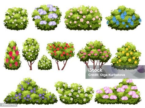 꽃이 있는 덤불 꽃이 만발한 정원 식물 다른 유형 녹색 장식 피는 관목 아름다운 풍경 요소 야외 봄 여름 울타리 식물입니다 공원 장식 벡터 세트 0명에 대한 스톡 벡터 아트