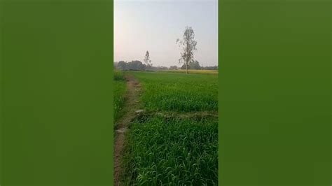 🍀🍀🍀🍀🍀🥀🥀 Youtube