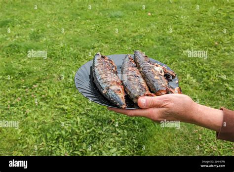 The Process Of Cooking Mackerel Fish In A Marinade On The Grill Fried